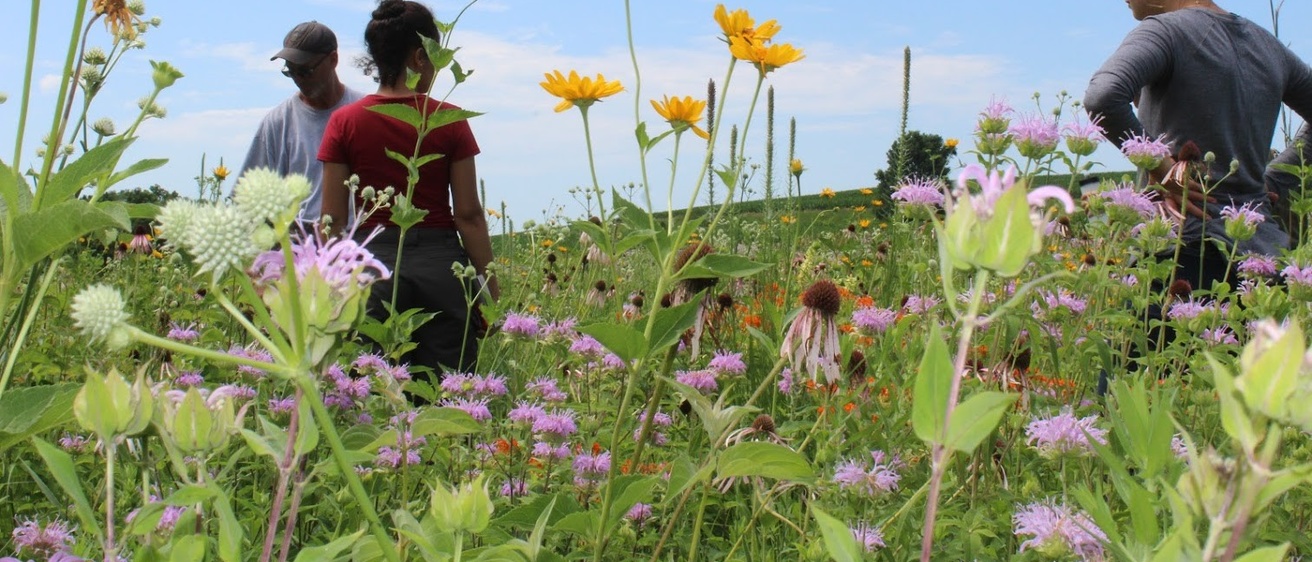 Sustainable Development Graduate Program | Sustainable Development ... Sustainable Development Graduate Program | Sustainable Development ...